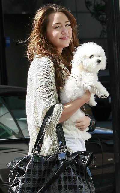 Acasă - Miley Cyrus si adorabila ei catelusa Sophie! FOTO!