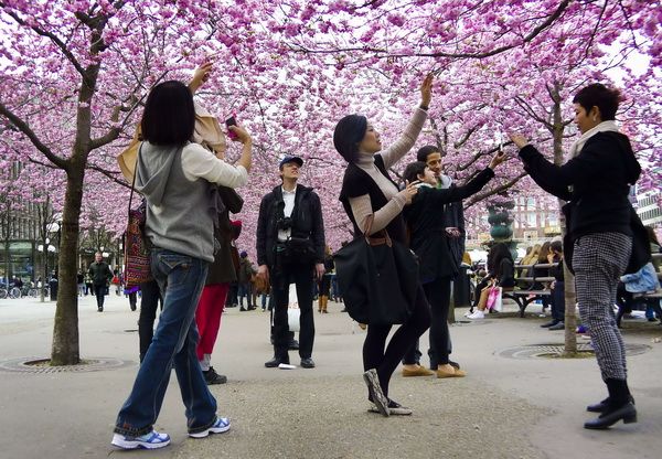 Suedia catre tinerii someri: Cautati locuri de munca in tari lovite de ...