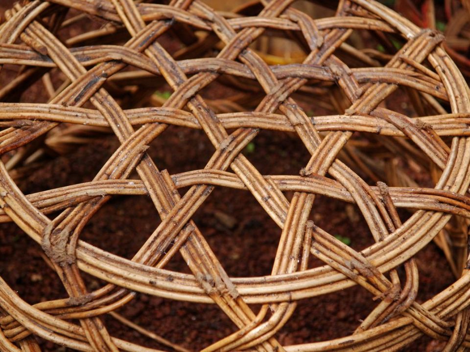 Fabricat in tara mea . Povestea familiilor de rromi din Tamas care ...