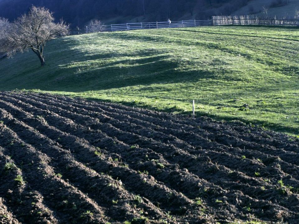 Subventiile, solutia vazuta de fermieri pentru profit. Acum sunt ...