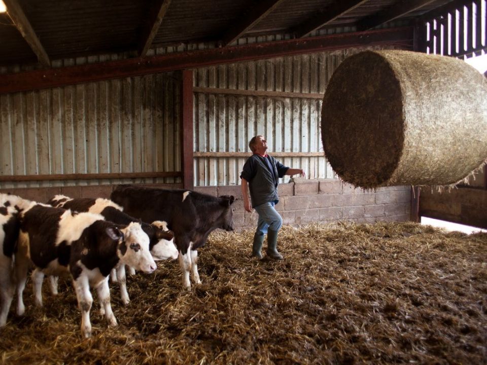 Activitatea a 32 de automate de lapte alimentate de la ferme ...