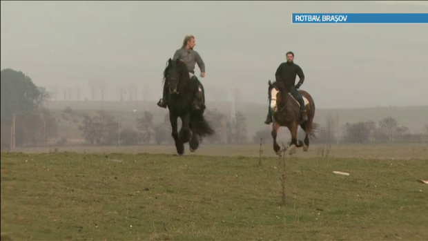 Pastoritul, upgrade la secolul 21. Fratii care s-au intors de la ...